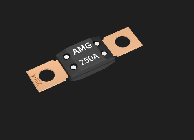 MEGA FUSE 250A | BRS Battery