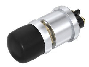 Start Push Button Switch, 2PIN, Screw Terminal | BRS Battery